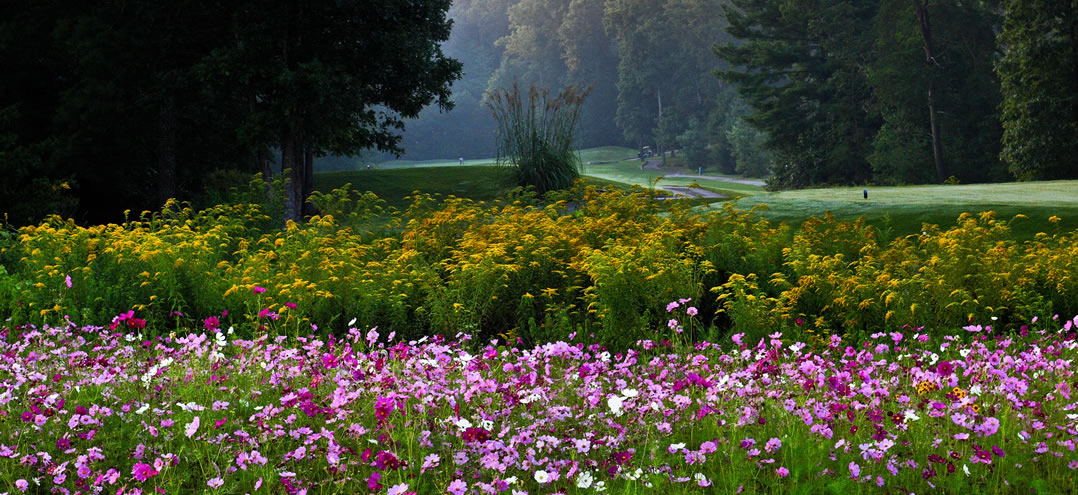 Bertram Golf Packages in Fairfield Glade, Tennessee - Heatherhurst Golf ...